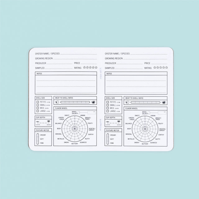 Notebooks and Journals