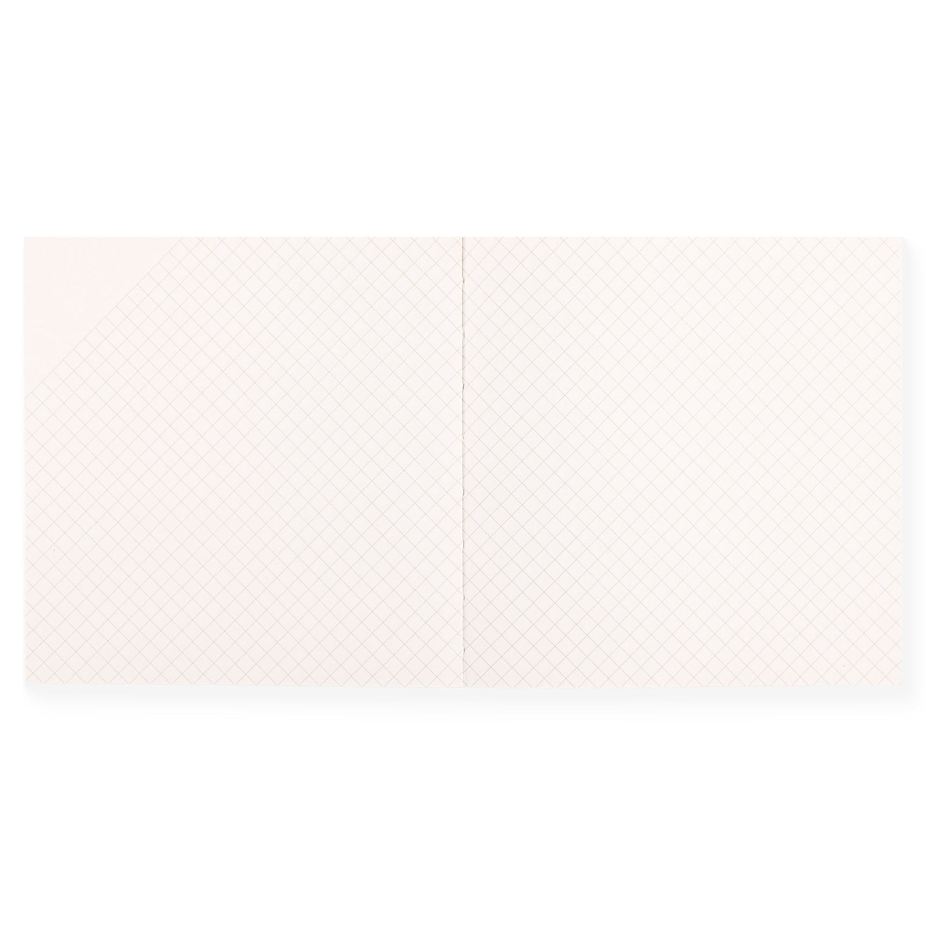 Notebooks and Journals