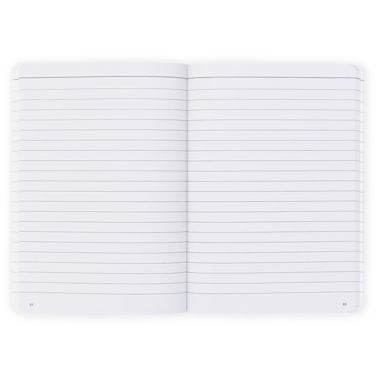 Notebooks and Journals